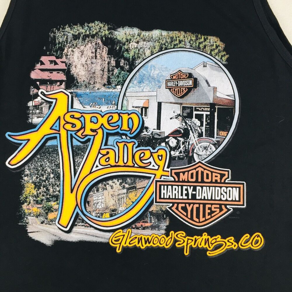 Vintage Harley Davidson Men's Black Sleeveless Aspen … - Gem